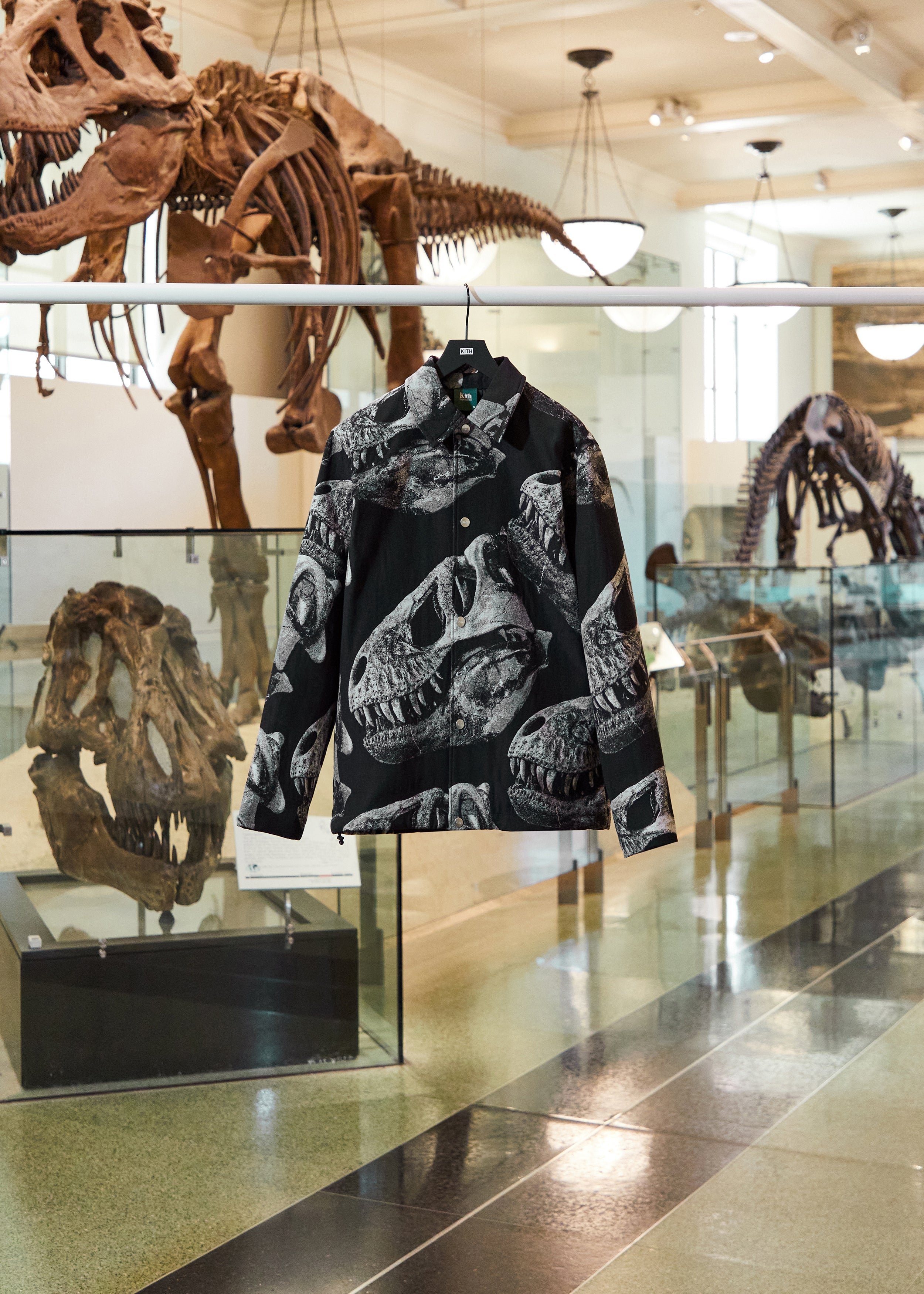 Kith for the American Museum of Natural History – Kith Canada